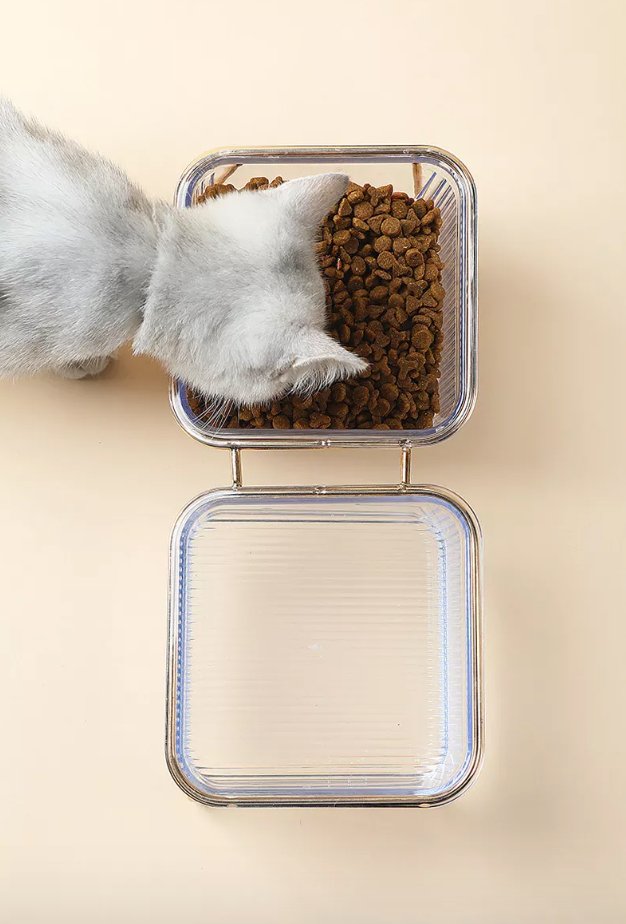 Eva Clear Double Pet Bowl in Gold - PRE ORDER | House Of Pets Delight ...