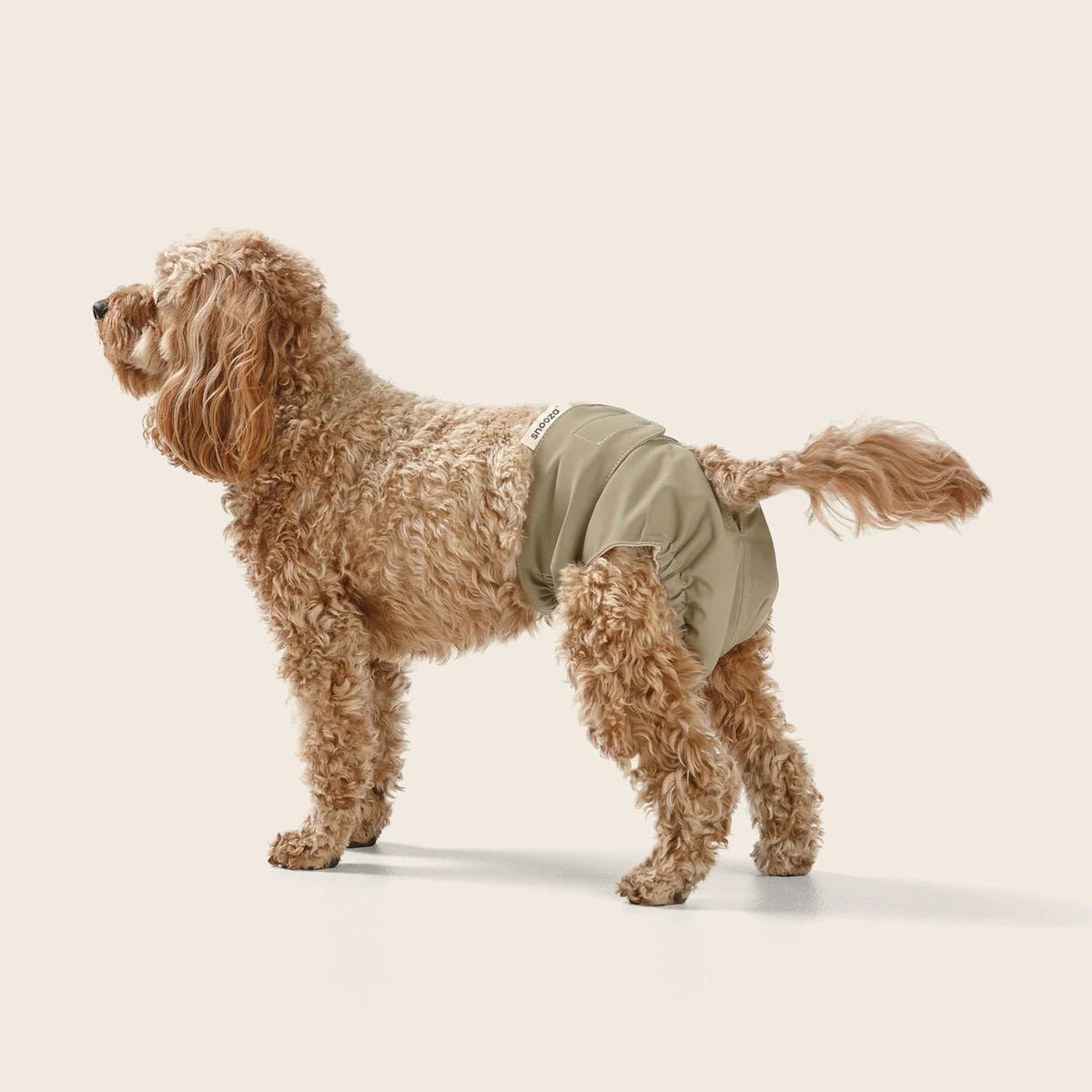 Snooza Washable Dog Nappy Band – Twin Pack for Female Dogs | House Of ...